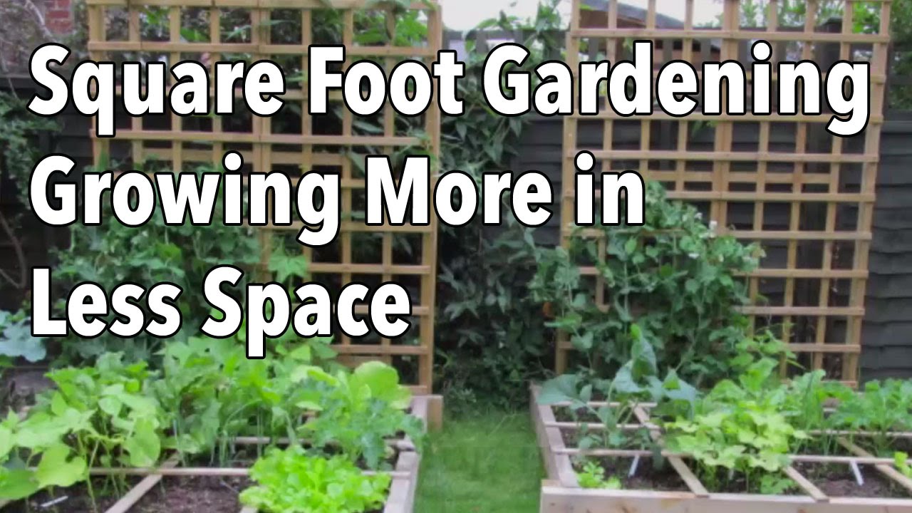 Square Foot Gardening - Videos in Levels